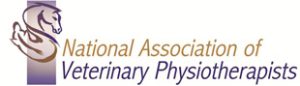 The Institute of Equine Physiotherapy – Institute of Equine ...